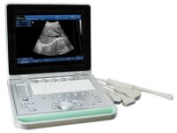 China 3D Digital B / W Portable Ultrasound Scanner With Convex Linear Transvaginal Probes for sale