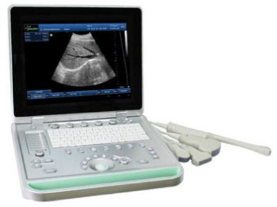 China 3D Digital B / W Portable Ultrasound Scanner With Convex Linear Transvaginal Probes for sale