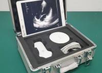 China Wifi Handheld Ultrasound Scanner Portable Convex Linear Cardiac Multifrequency 10MHz for sale