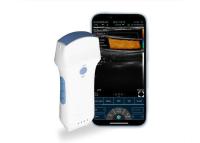 China 305mm Portable Handheld Ultrasound Scanner Probe Convex+Linear+Cardiac for sale