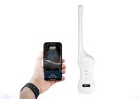 China Transvaginal Endocavity Portable Pregnancy Scanner For OB / GYN Portable Ultrasound for sale