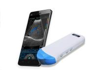 China Handheld Bladder Portable Scanner Micro Convex Probe Ultrasound Veterinary Pregnancy for sale