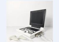 China Portable Handheld Ultrasound Scanner Handheld Bladder 5 Kinds Of Probes Available for sale