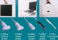 China Portable Handheld Ultrasound Scanner Handheld Bladder 5 Kinds Of Probes Available for sale