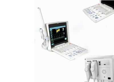China BIO Portable Laptop Ultrasound Machine 3D Ultrasound Scanner 256 Level Gray Scale Image for sale