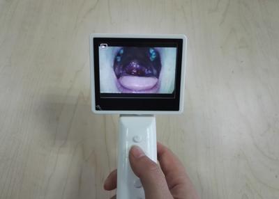 China Digital Video Rhinoscope Laryngoscope Camera For Nasal Throat  Inspection with 3.5 Inch LCD Screen for sale