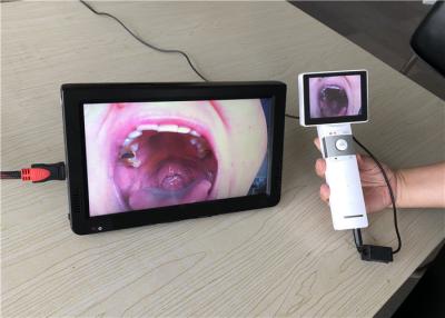 China Portable Otoscope Ophthalmoscope Video Throat Camera Dermatoscope With SD Card Output For Clinic for sale