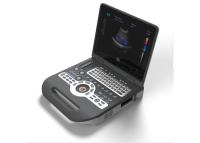 China 15” LCD Screen Portable Ultrasound Scanner Color Doppler With 2-12 Mhz Probes for sale