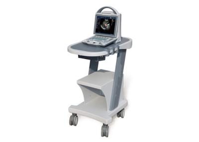 China 10.4 Inch Screen Portable Ultrasound Scanner Color Doppler Machine With Trolley Optional for sale