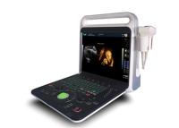 China 4 D 15 Inch LED Diagnostic Color Doppler Ultrasound Scanner With 2 Probe Connector for sale