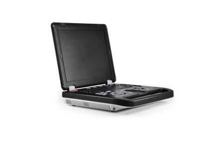 China 2 Probe Connectors Color Doppler Machine System Laptop Ultrasound Scanner With Trolley Optional for sale