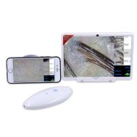 China Palm Digital Skin Analyzer Support IOS Andriod CE Certificate with High Definition 1080P lens for sale
