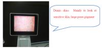 China Handheld Digital Skin Analyzer Digital Skin Analysis Machine With 3.5 Inch Screen for sale