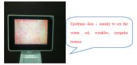 China Handheld Digital Skin Analyzer Digital Skin Analysis Machine With 3.5 Inch Screen for sale