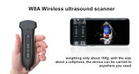 China Wireless Color Handheld Ultrasound Probe Scanner Digital Ultrasound Cardiac Transducer for sale