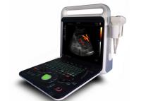 China 4d Ultrasound Machine Portable Ultrasound Scanner With 3D And Phased Array Probe Optional for sale
