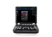 China Digital Portable Ultrasound Scanner Movable Color Doppler With 15 Inch LED Screen for sale