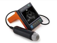 China Digital Medical Veterinary Ultrasound Scanner for sale