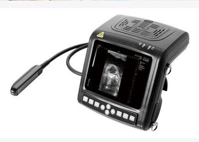 China Digital Veterinary Ultrasound Scanner for sale