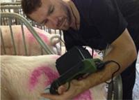 China Mini Veterinary Ultrasound Scanner for sale