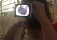 China SD Card Digital Video Otoscope For Human Body Inspection With 3.5” LCD Monitor for sale