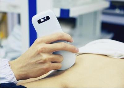 China USB WIFI Handheld Ultrasound Probe With Dual Heads Convex Linear Phased for sale