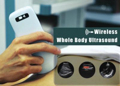 China 3.6Mhz Electronic Array Digital Ultrasound Scanner For Abdomen Cardiac for sale