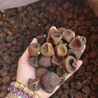 China Natural Cultivation Dried Citrus Peel Chinese Medicine For Health for sale