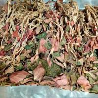 China Dried Anoectochilus Roxburghii Wall Lindl Natural Golden Thread Orchid for sale
