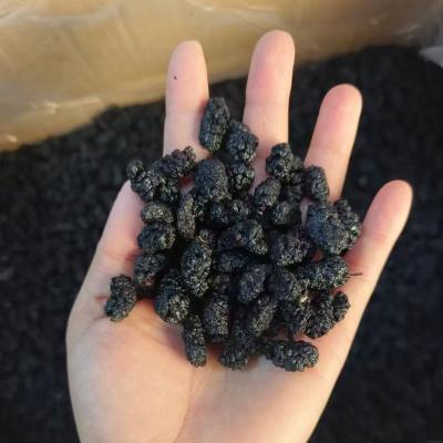China Blood Nourishing Sun Dried Mulberries Nutritious Organic Dried Mulberries for sale