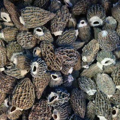 China Dried Morchella Esculenta L Pers Chinese Herbal Supplements for sale