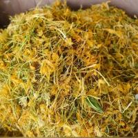 China Dried Honeysuckle Flowers Clear Heat Premium Honeysuckle Dried Flower for sale