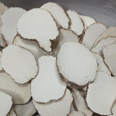 China Yunnan Tiger'S Milk Mushroom Health Food Ingredients  Natural And Organic for sale