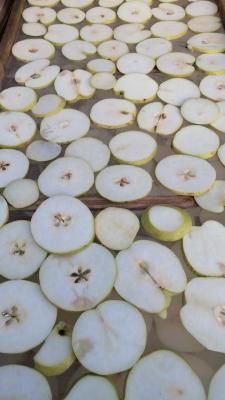 China Sun Drying Organic Dried Pears Natural Dried Pear Slices HALAL Certified Snow Pear for sale