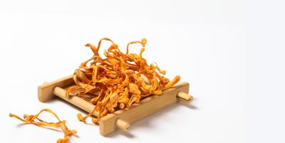 China High Quality Dry Cordyceps Militaris Extract Cordiceps Cordyceps Sinensis Cordyceps Sinensis Mushroom for sale