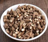 China High-Quality Bupleurum (Chai Hu)Dried Bupleurum Root (Radix Bupleurum) from China for sale