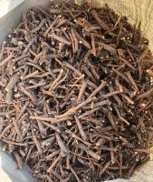 China ISO9001 Certified Dried Bupleurum Chinense Chai Hu Chinese Herbal Medicine for Liver Health Fever Relief for sale