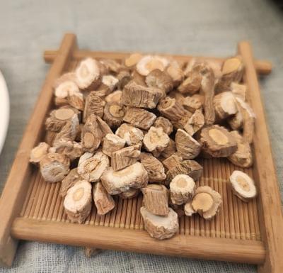 China Banlangen Cool Tea (Isatis Root Herbal Tea) - Natural Herb Wholesale for sale