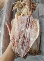China Premium Nutritious Dried Cuttlefish with 18 Months Shelf Life and High-quality Protein for Restaurants and Seafood Lovers for sale
