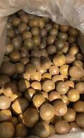 China Natural Healthy Monk Fruit Seeds and Luo Han Guo Tea - ISO9001 Certified for Clearing Heat and Moistening Lungs for sale