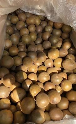 China Natural Healthy Monk Fruit Seeds and Luo Han Guo Tea - ISO9001 Certified for Clearing Heat and Moistening Lungs for sale