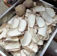 China Natural and Organic Yunnan Tiger's Milk Mushroom - ISO9001 Certified Medicinal Fungus for Health Benefits for sale