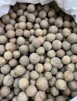China Premium Grade No Sulfur Sea Coconut King – Traditional Chinese Herbal Ingredient for Nourishing Yin & Relieving Dry Cough for sale