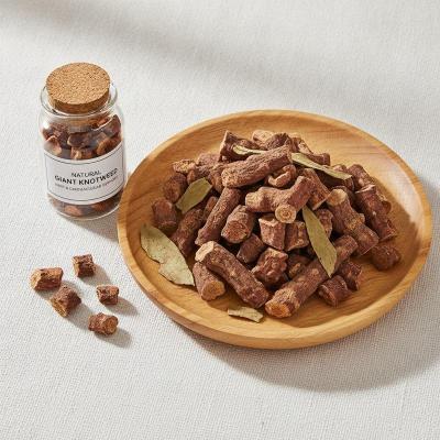 China Natural Dried Giant Knotweed Polygonum Cuspidatum Chinese Herbal Medicine for Joint Cardiovascular Support for sale