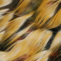 China 160cm 30-55mm JACQUARD Faux Fur Fabric for Garments 500meters Plush Printed 100% Acrylic for sale
