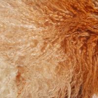 China Long Pile Curly Faux Fur Fabric for Winter Coat and Cushions in Any PANTONE Color for sale