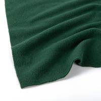China Anti Pilling Two Side Brushed Polar Fleece Fabric for 250GSM Plain Dye Winter Coat for sale