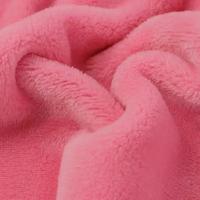 China Customized Color 100D Yarn Count Coral Fleece Fabric for Pajamas 300gsm Double Faced for sale