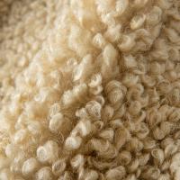 China Tricot Knitted Weft Suede 100% Polyester Teddy Velvet For Sexy Women'S Clothing for sale