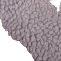 China 2023 Mid to end Factories Order Polyester Particle Lamb Wool for Lining in Luxury Style for sale